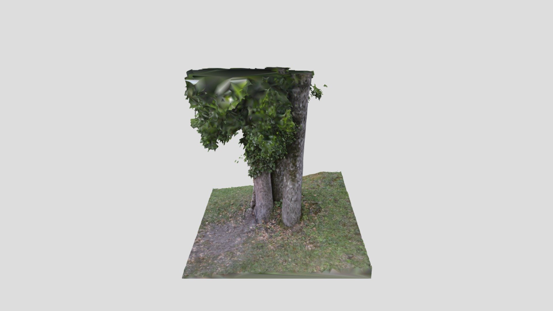 Arbre jardin 1 - Download Free 3D model by dea_architectes1 [5507bcd ...
