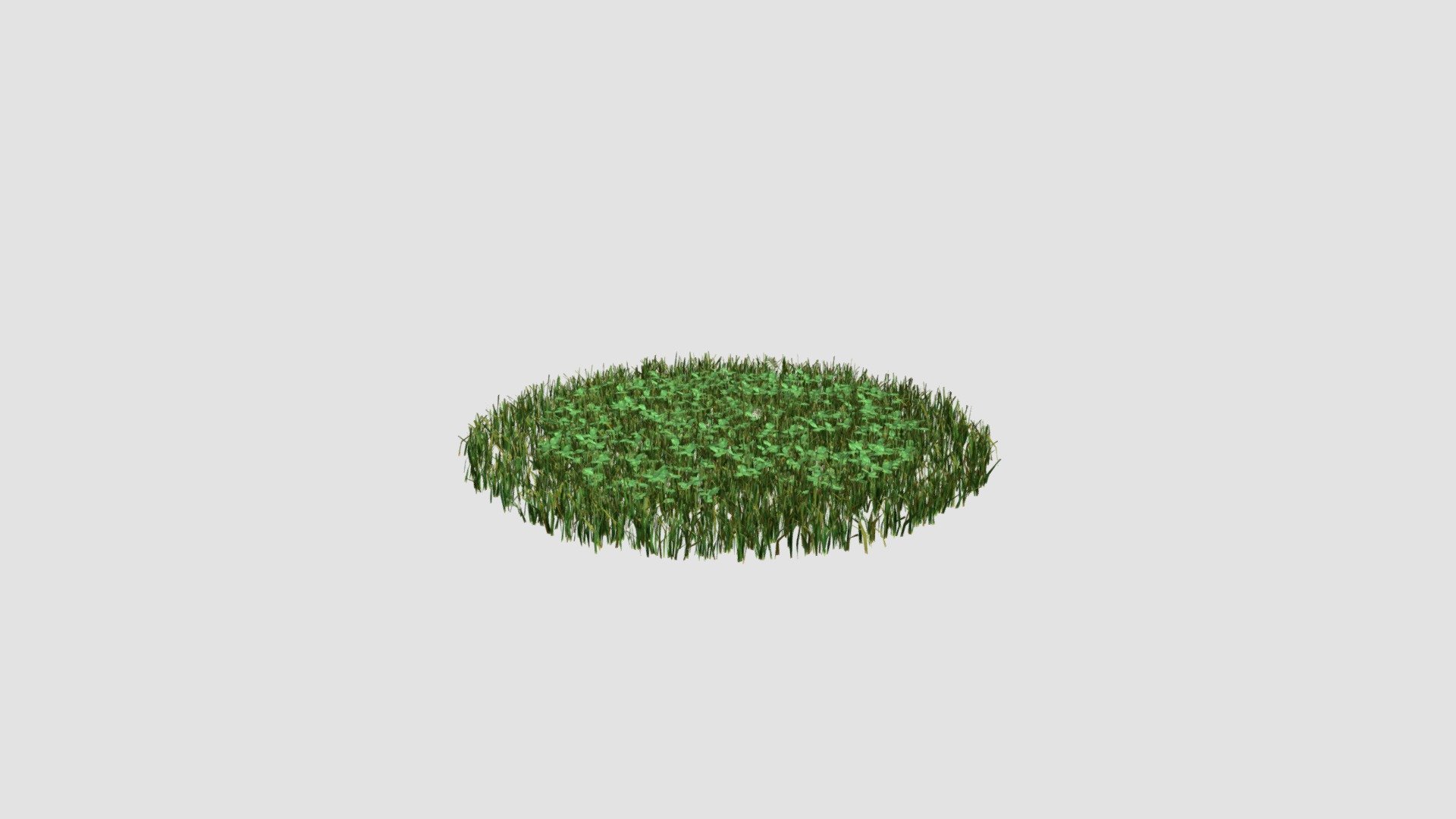 simple grass large - Buy Royalty Free 3D model by Evermotion [550ed7b ...