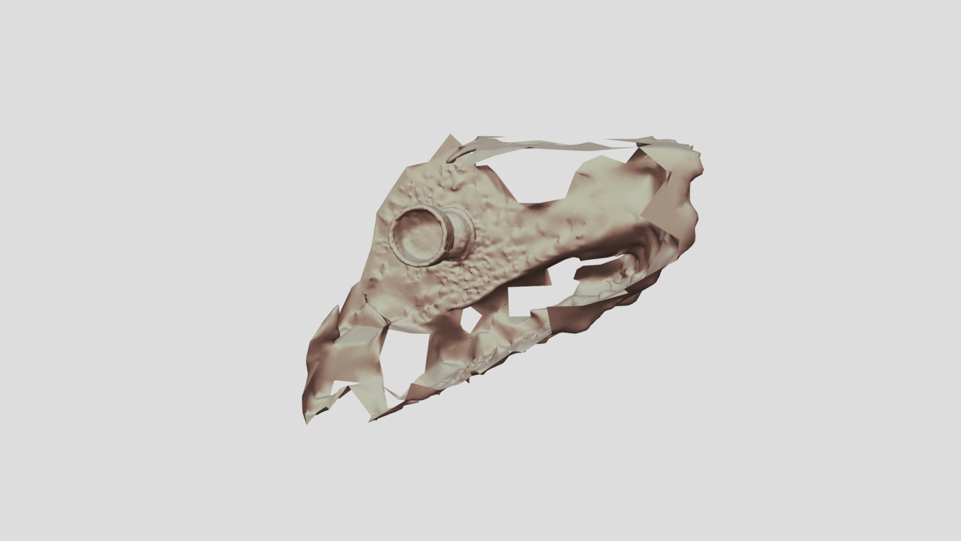 Mesh_con_texture_4 - 3D model by EmanuelaA. [5514c18] - Sketchfab