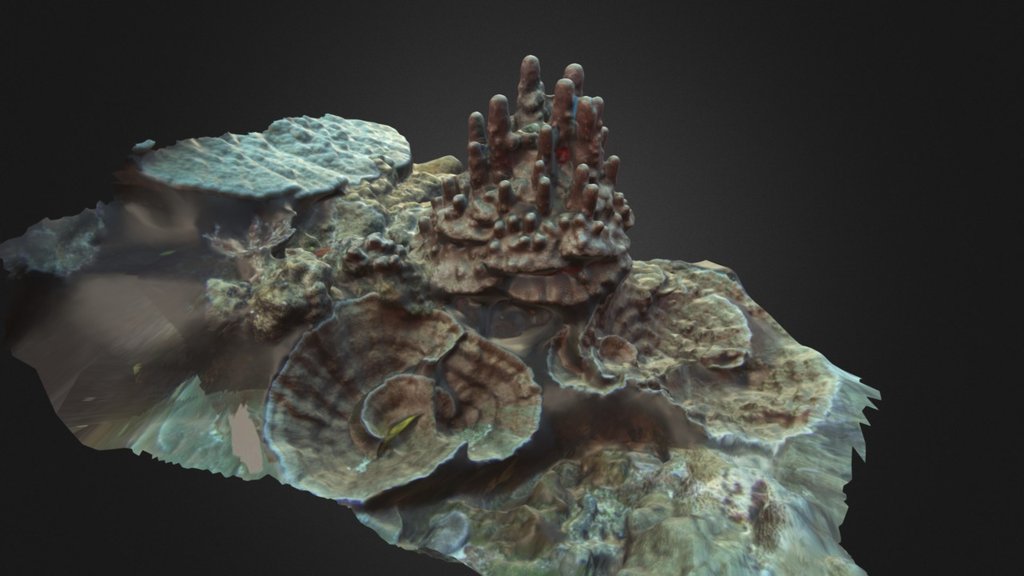 American Samoa 1 - 3D model by yasmeensmalley [55163ac] - Sketchfab