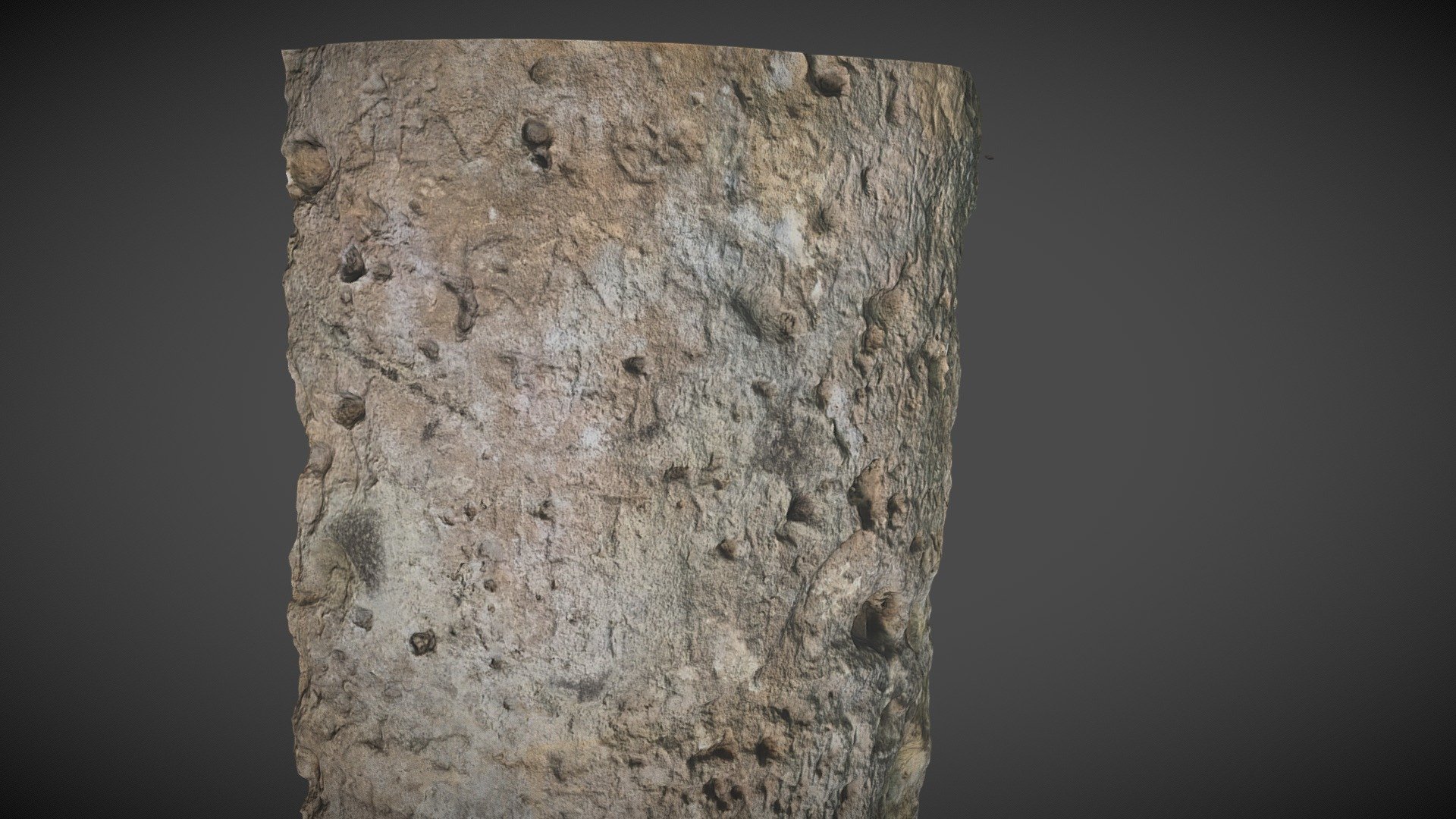 Roman Milestone: Detail - 3D model by Moshe Caine (@moshecaine ...