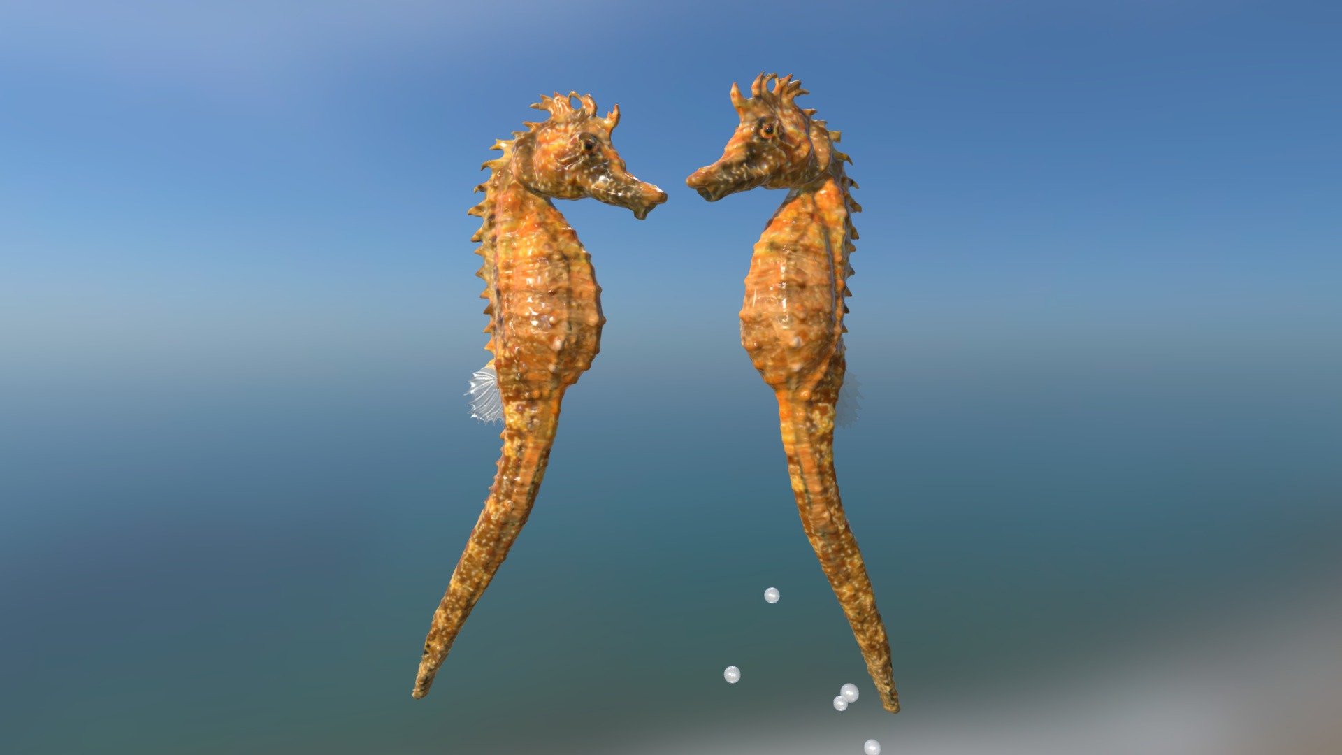 2 Seahorses Marine Animated - Buy Royalty Free 3D model by ...