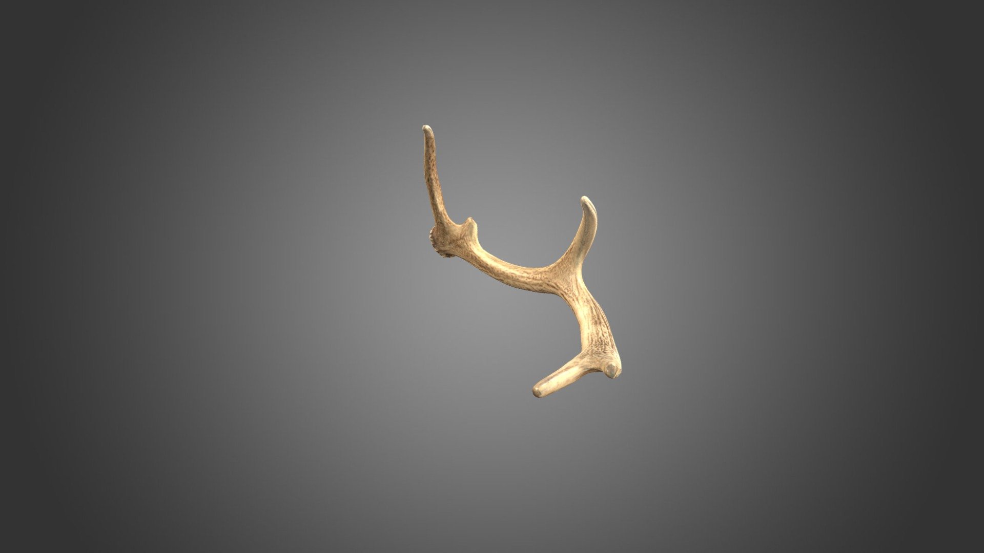 Antler Pick - 3D model by English Heritage (@EnglishHeritage) [552b4f2 ...