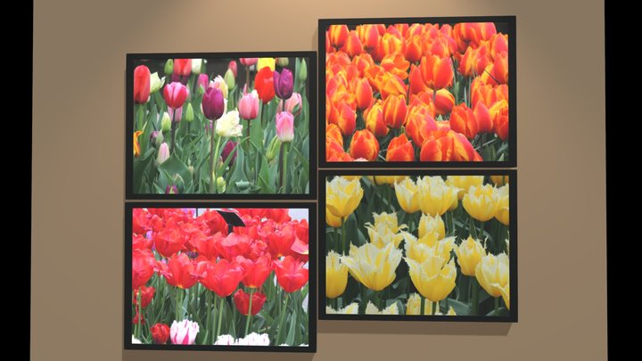 Tulip 3d Models Sketchfab