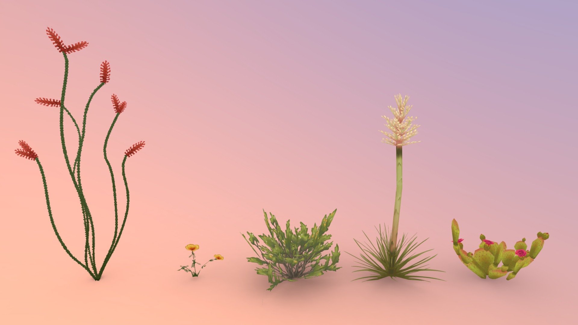 Desert Plants - Download Free 3D model by aprodnuk [5534df1] - Sketchfab