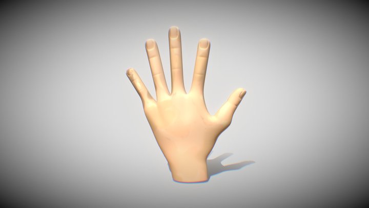 Mano 3D models - Sketchfab