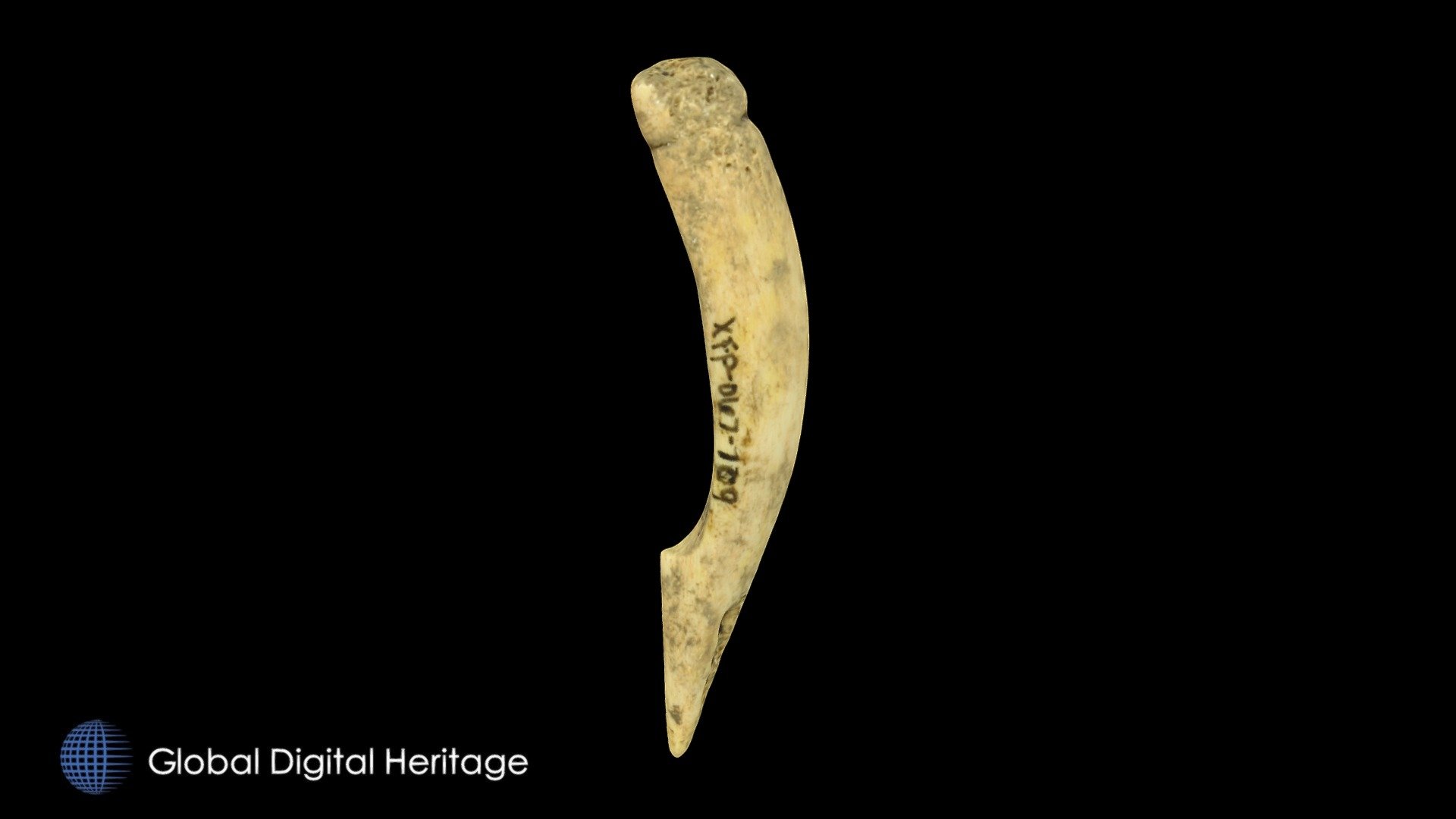 XFP-067 Bone Fish Hook, Sanak Island, Alaska. - Download Free 3D model ...