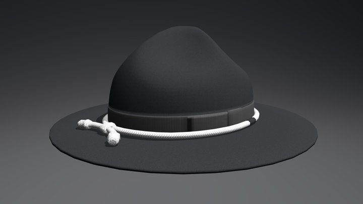 Campaign-hat 3D models - Sketchfab