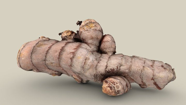 Turmeric 3D models - Sketchfab