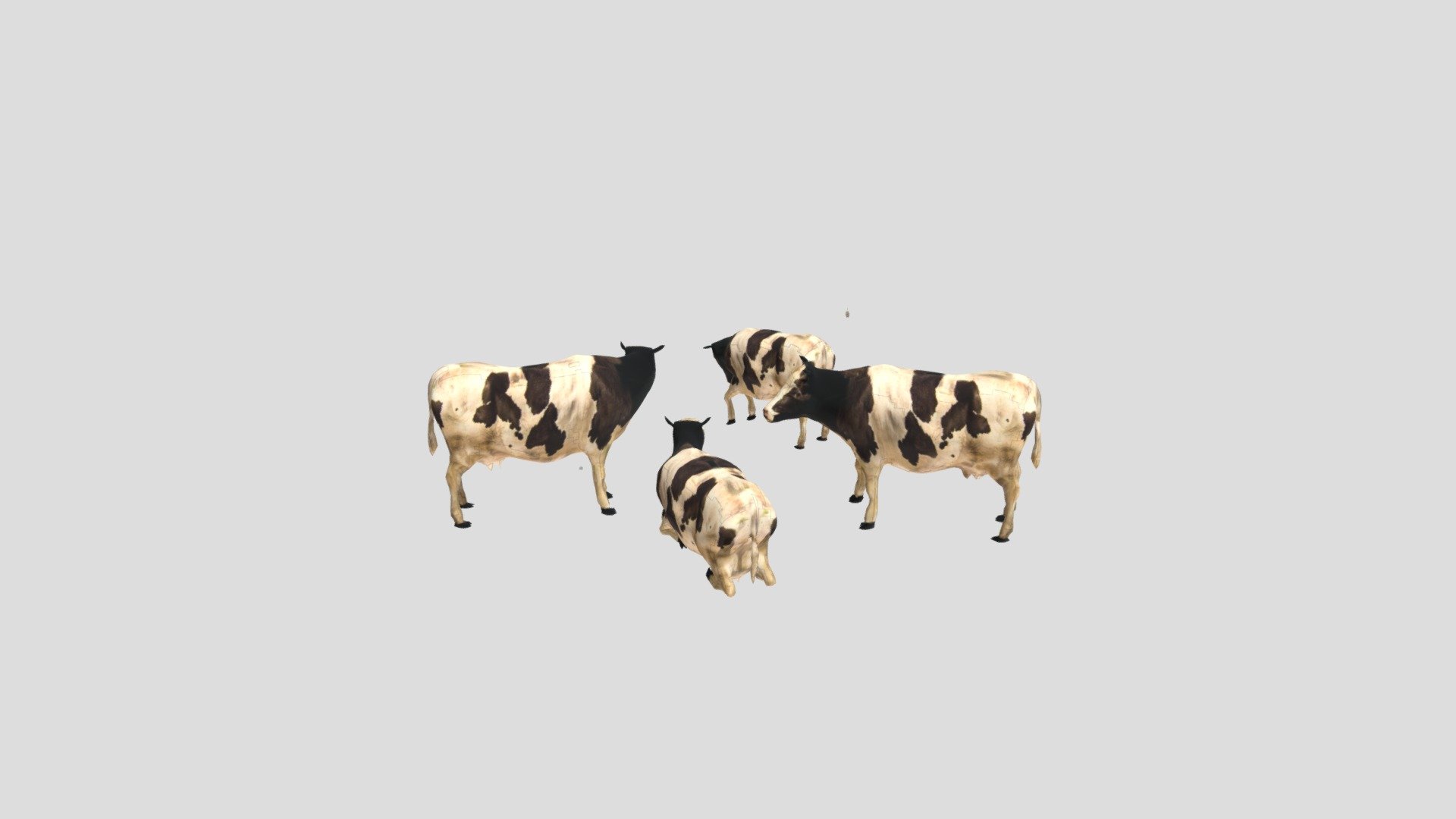 Cow - 3D model by Zeeshan Ali (@shani163) [55442c1] - Sketchfab