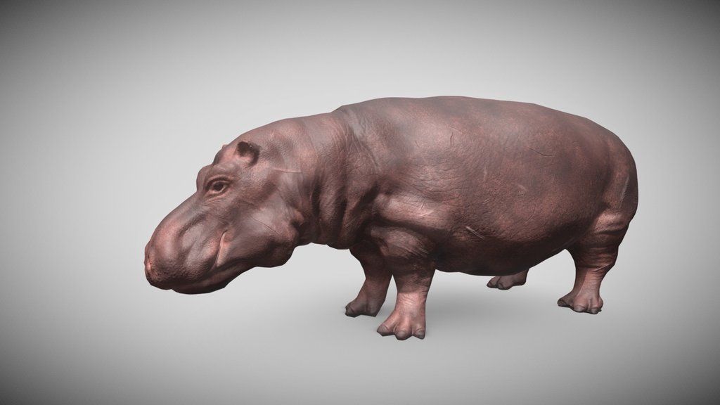 Animals and Insects Research - A 3D model collection by Yuya (@yuya ...