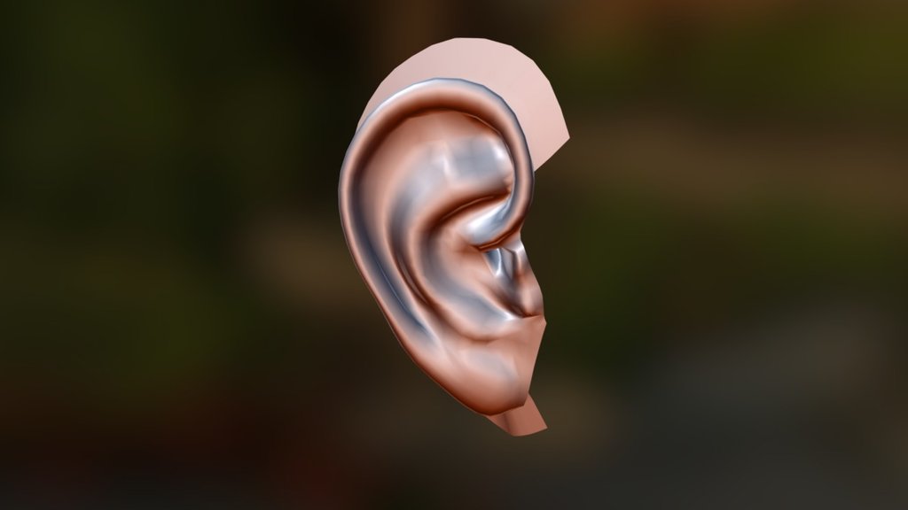 2 FIRST EAR - Download Free 3D model by nguyenducthanhst16 [554be31 ...
