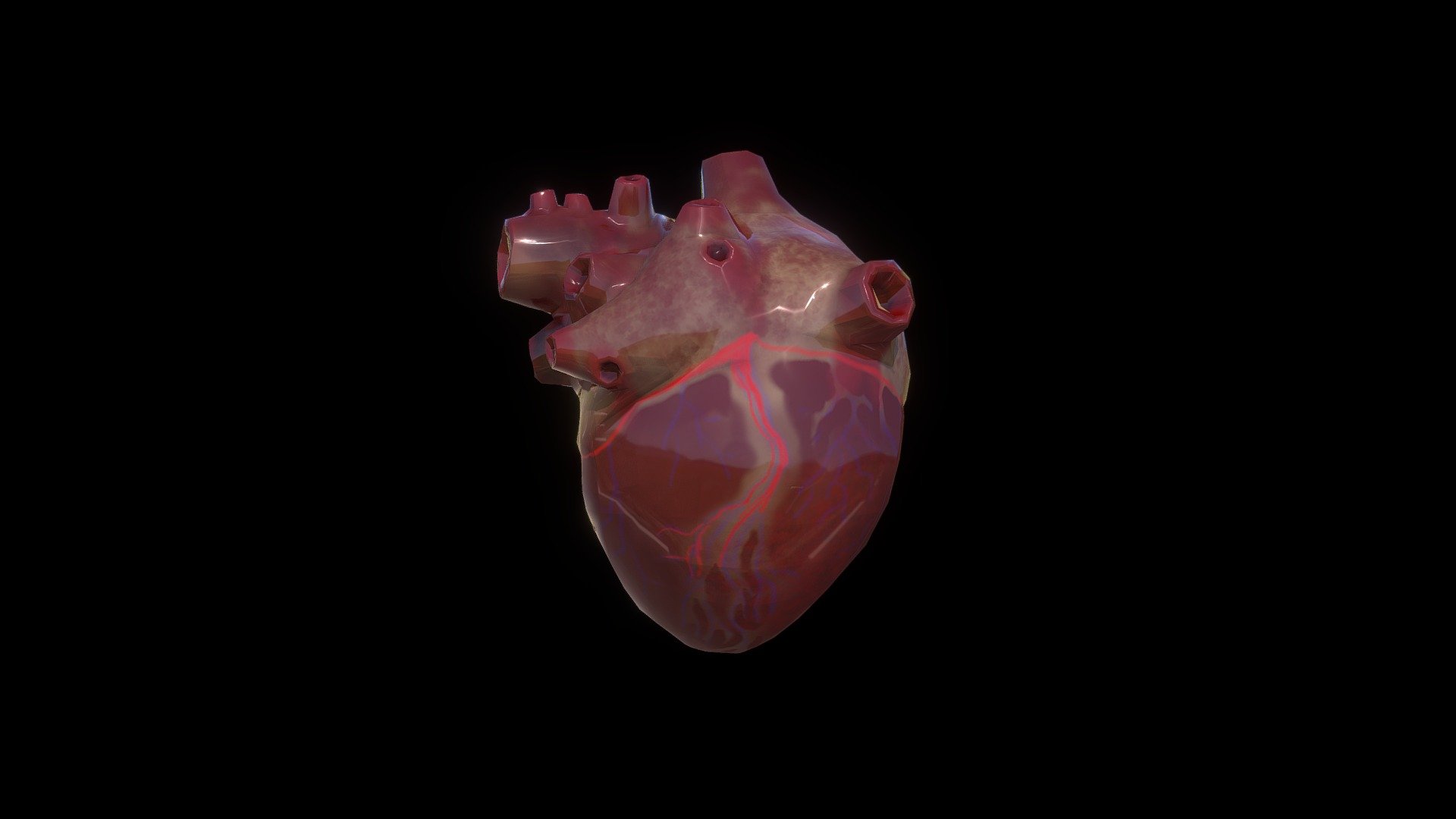 Human Heart Animation - 3D model by Josh.Kemp [554f874] - Sketchfab