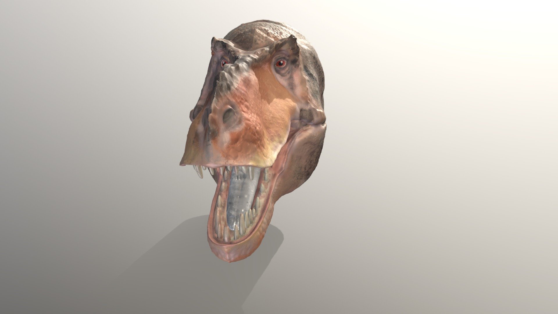 T rex version 2 - 3D model by Alfred Fernandez (@ALFERNANDEZ) [555c356] - Sketchfab