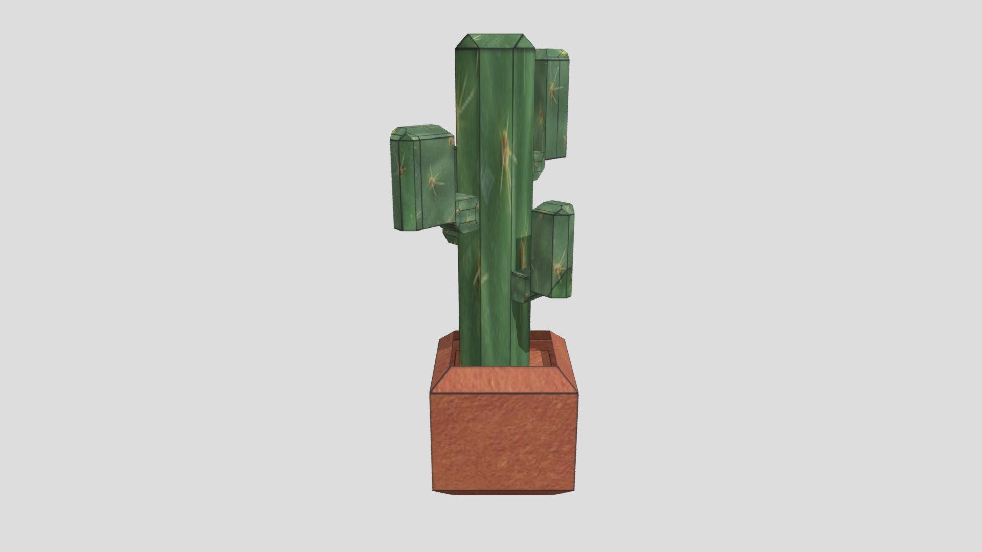 cactus - 3D model by IngeBexkens [555ceb4] - Sketchfab