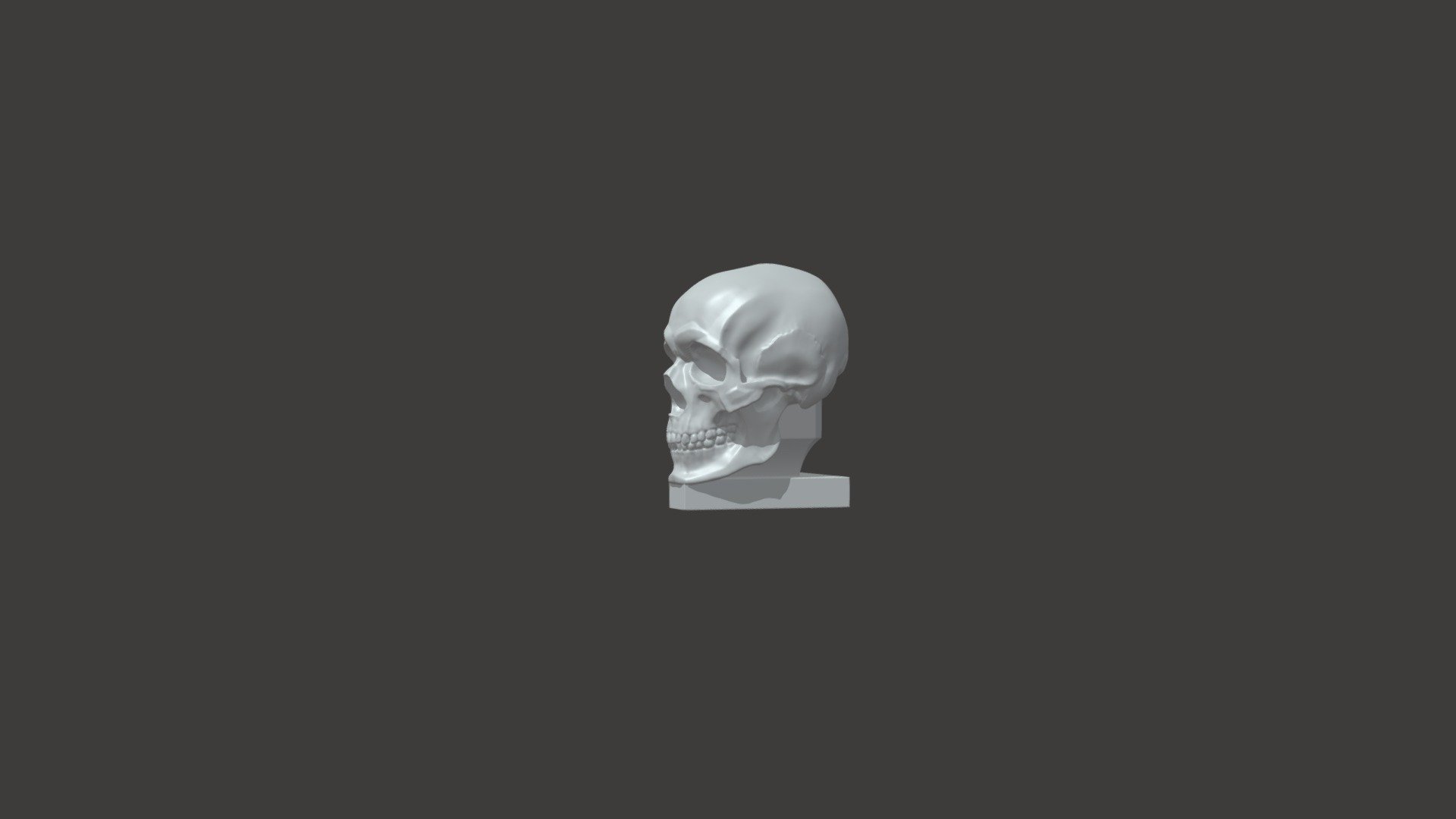 череп экорше(1) - 3D model by Sculpt Art (@sculpt_art) [555d2e4 ...