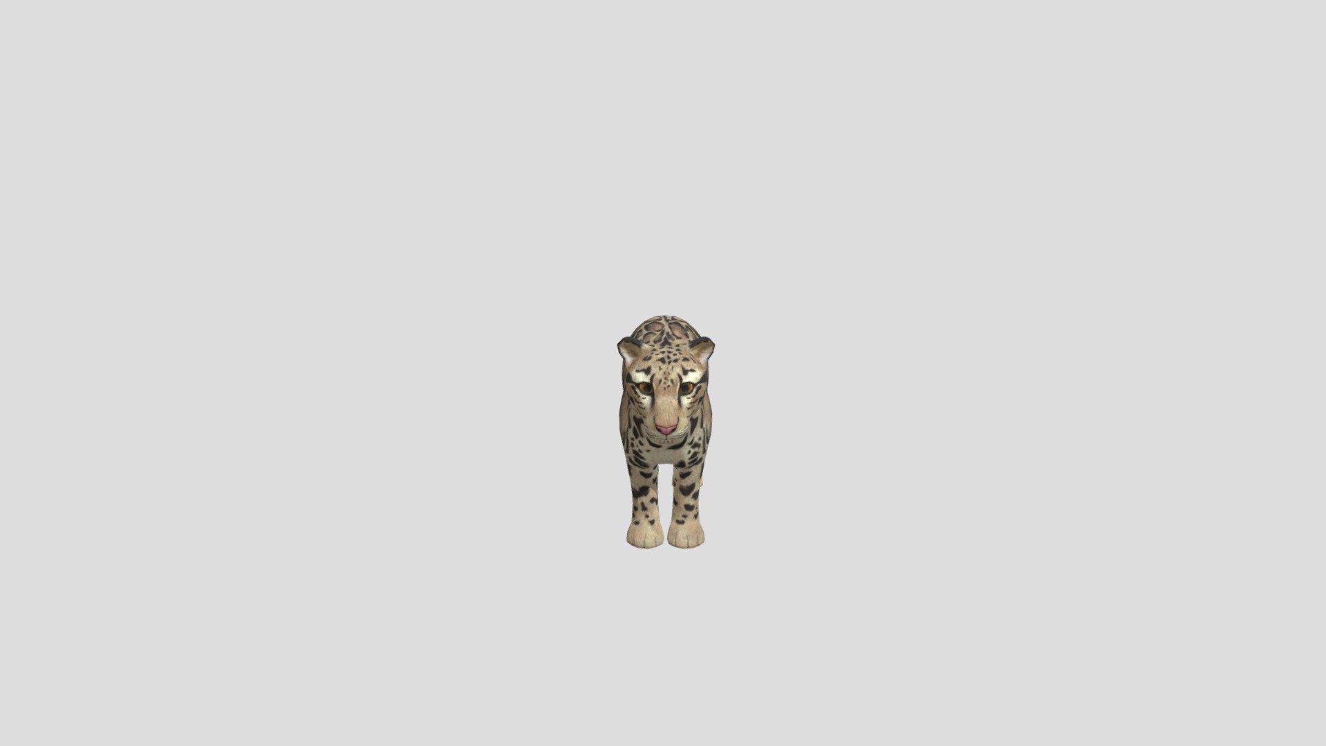 Leopard Jump In Place V6_2 - 3D model by shinruanchen [55633dd] - Sketchfab