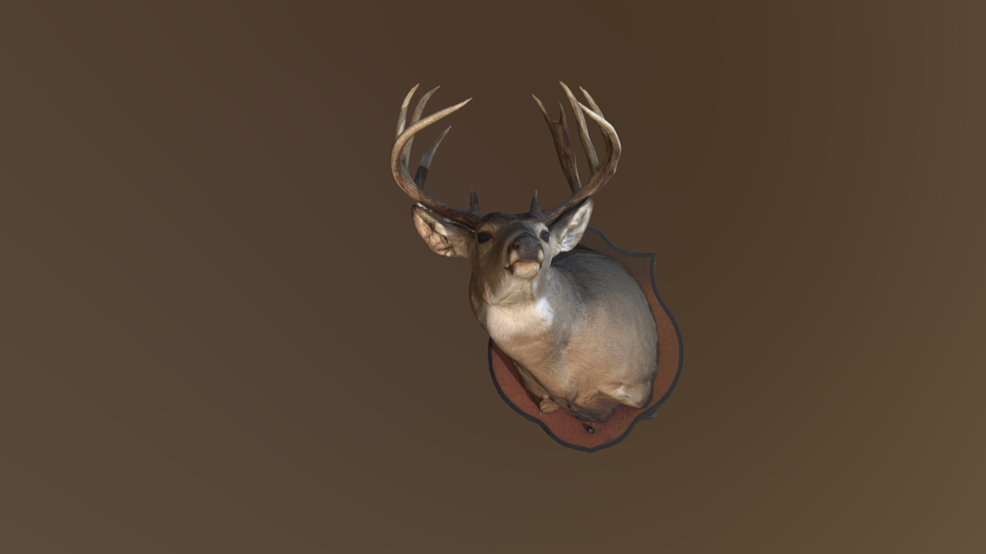 photo scanned deer perfect - 3D model by paul454 [5564f21] - Sketchfab