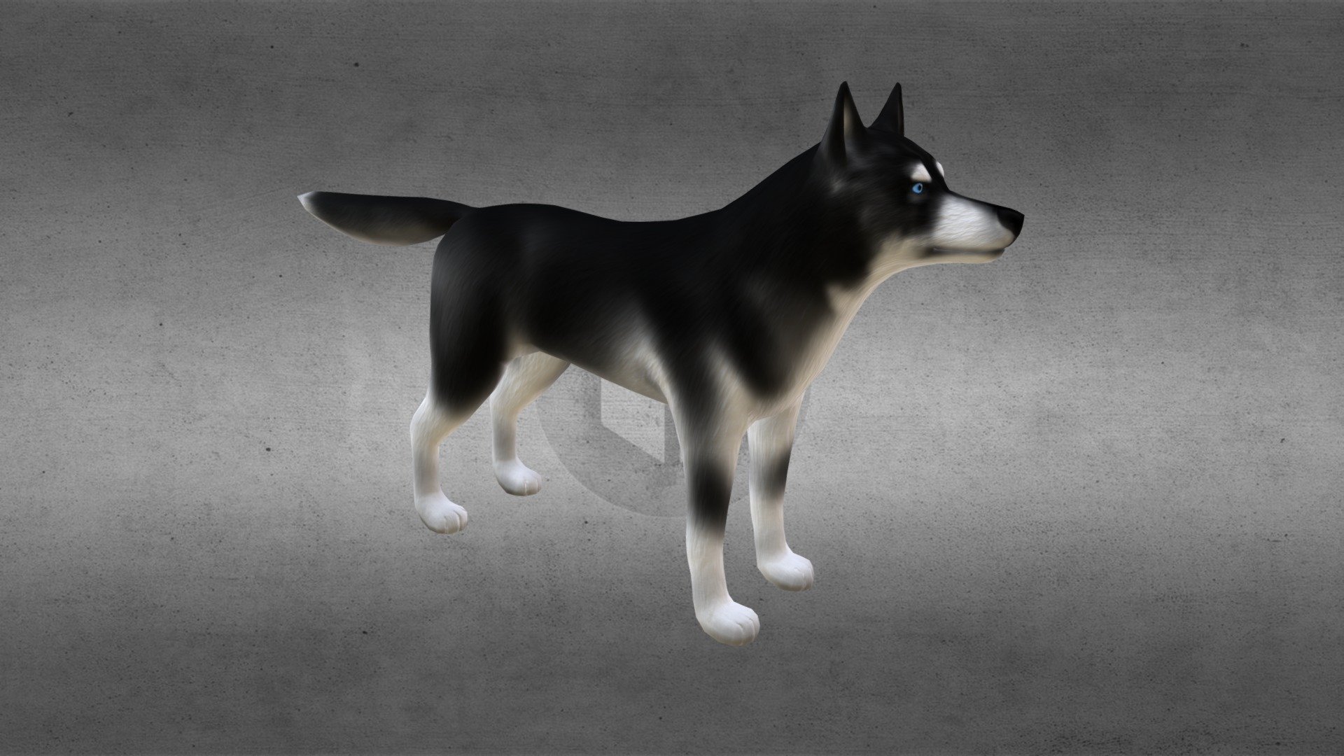 Dog Husky - 3D model by rienerys [556a654] - Sketchfab