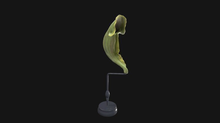 Papier_mache 3D models - Sketchfab
