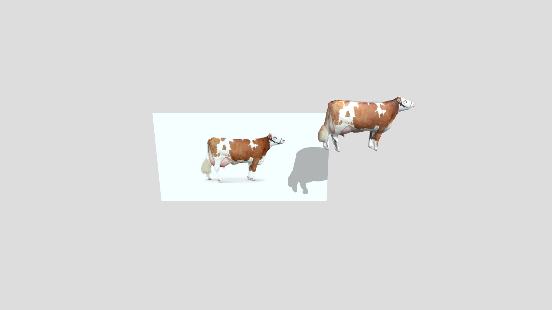 3D Sapi _ Rachmi - Download Free 3D model by rachminursifayahya ...