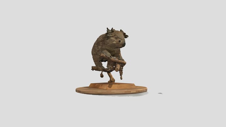 Koala 3D models - Sketchfab