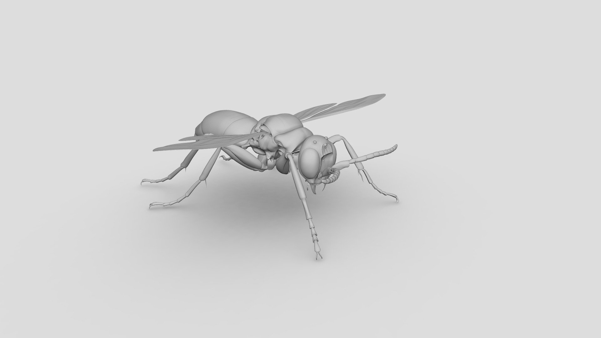 Praestochrysis Lusca - 3D model by mohamedhussien [557907f] - Sketchfab