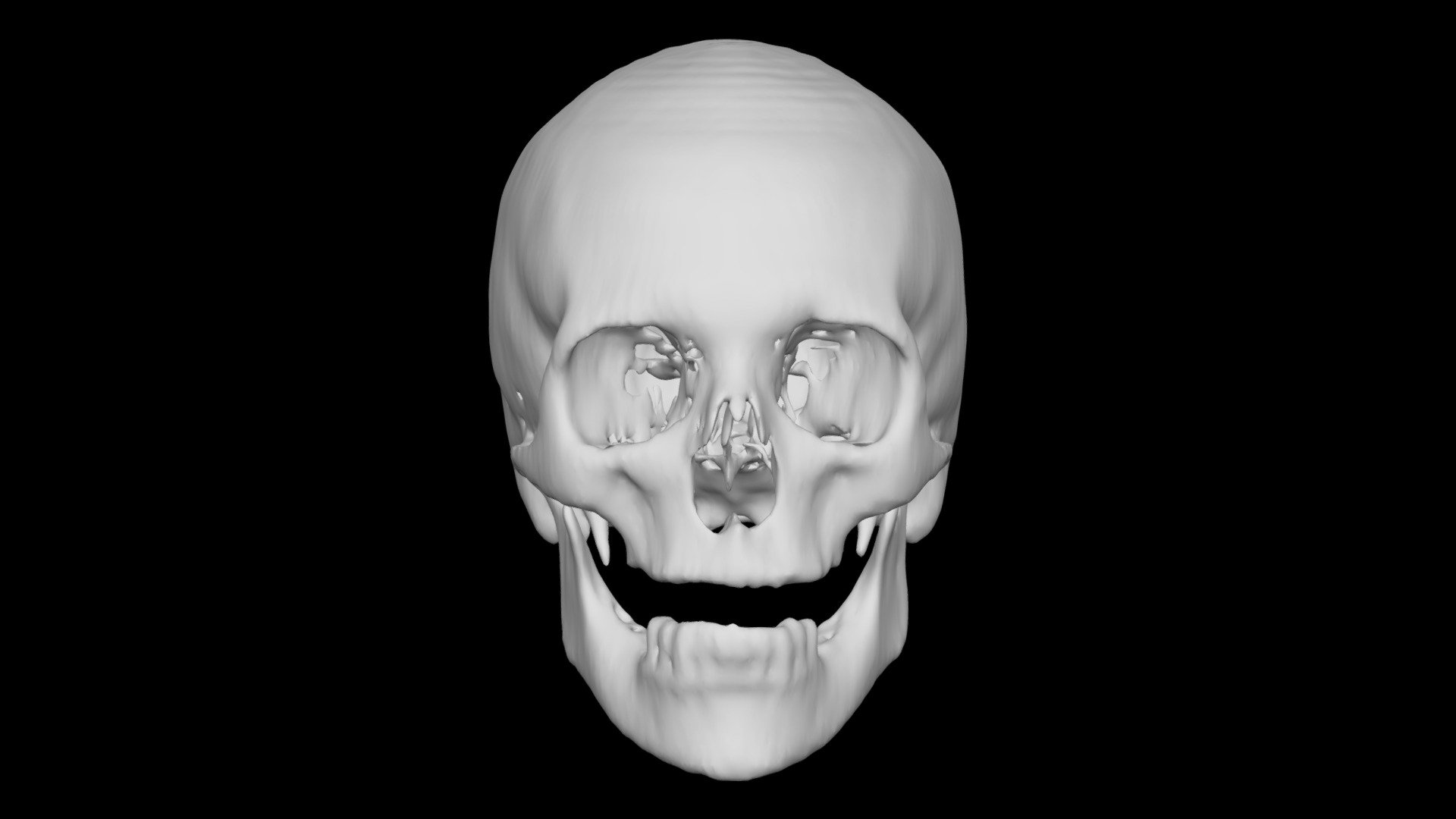Skull Female 67yo - 3D model by Terrie Simmons-Ehrhardt ...