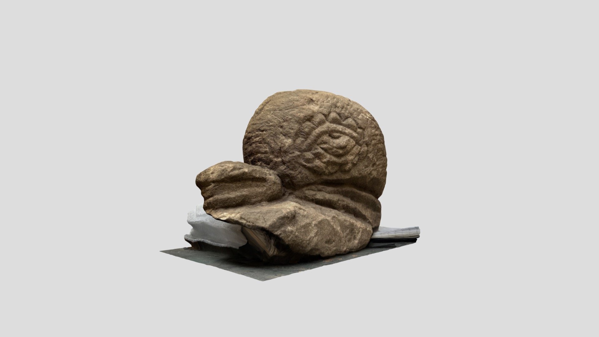 Roman Dolphin Archeology - 3D model by Commendium (@roowalters ...