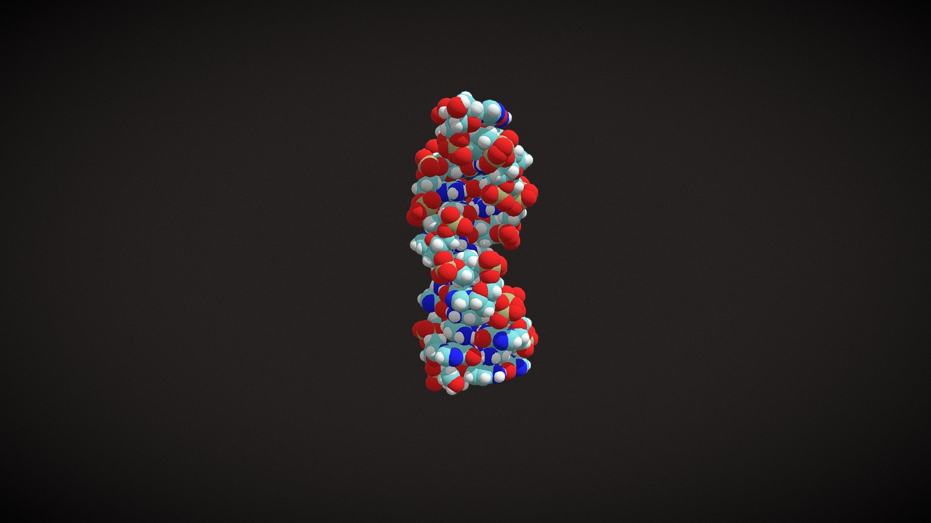 Z-DNA, Space-filling - Download Free 3D model by gvsuchem (@gvsu-chem ...