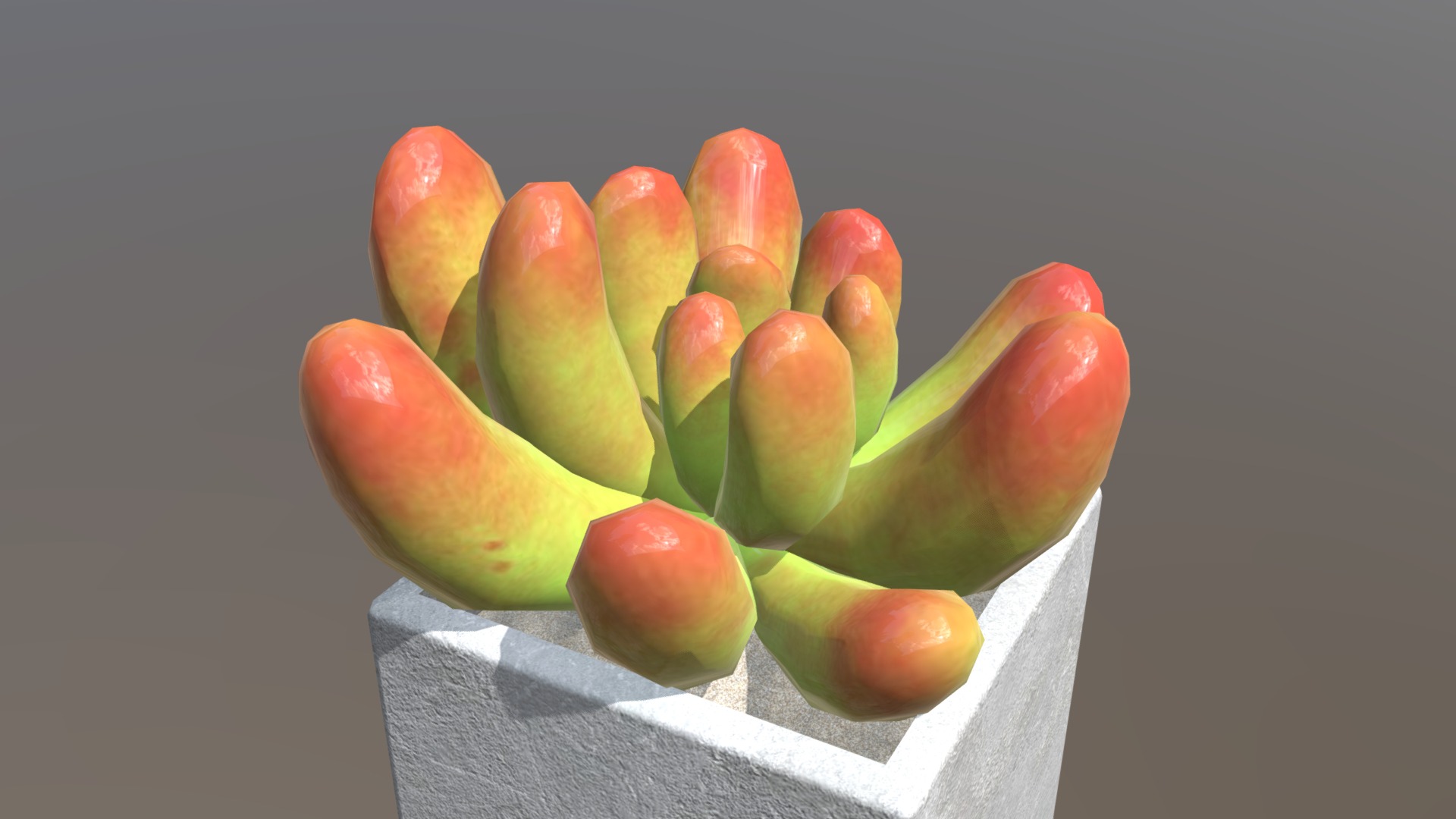 Square Potted Succulent Plant - 3D model by Kugatsu Tsukai 3D Model Hub ...