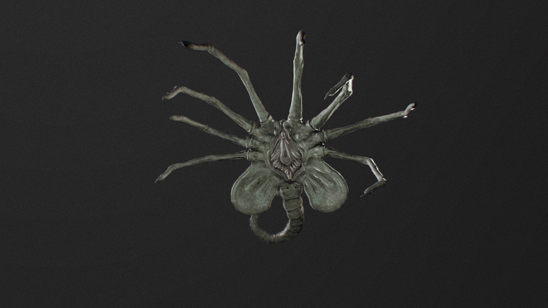 FaceHugger - 3D model by Aleksandr Sagidullin (@jintrim3) [55a3f48 ...