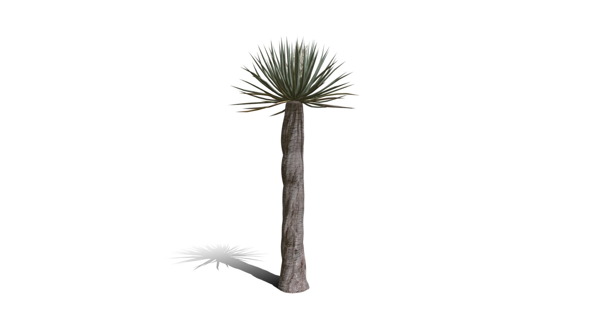 Realistic HD Dragon tree (12/50) - Download Free 3D model by ...