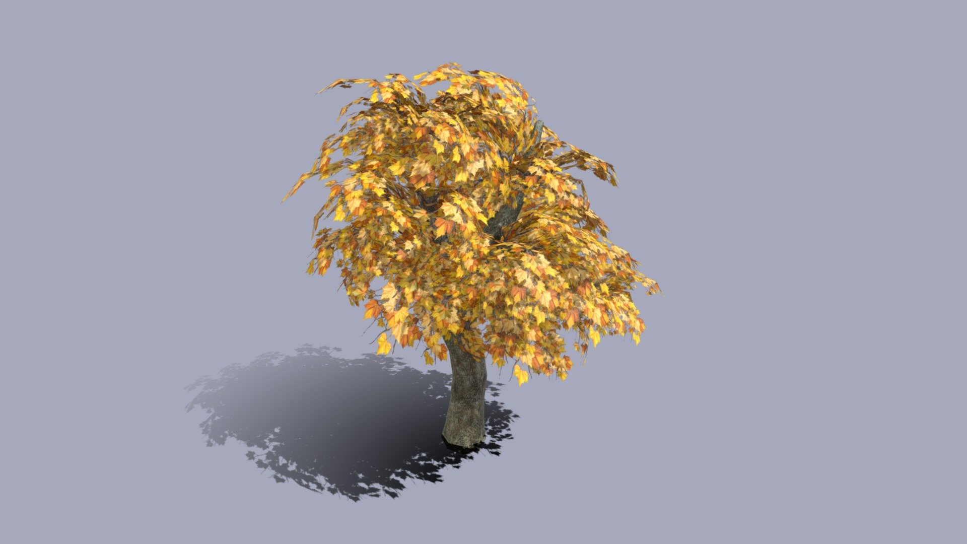 Tree - Download Free 3D model by !Nixme (@nixme___) [55ab1e4] - Sketchfab
