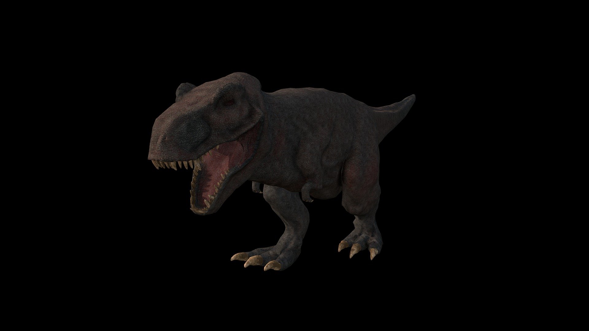 T-Rex (Tyrannosaurus rex) - Download Free 3D model by Zillious [55ad5a6] - Sketchfab