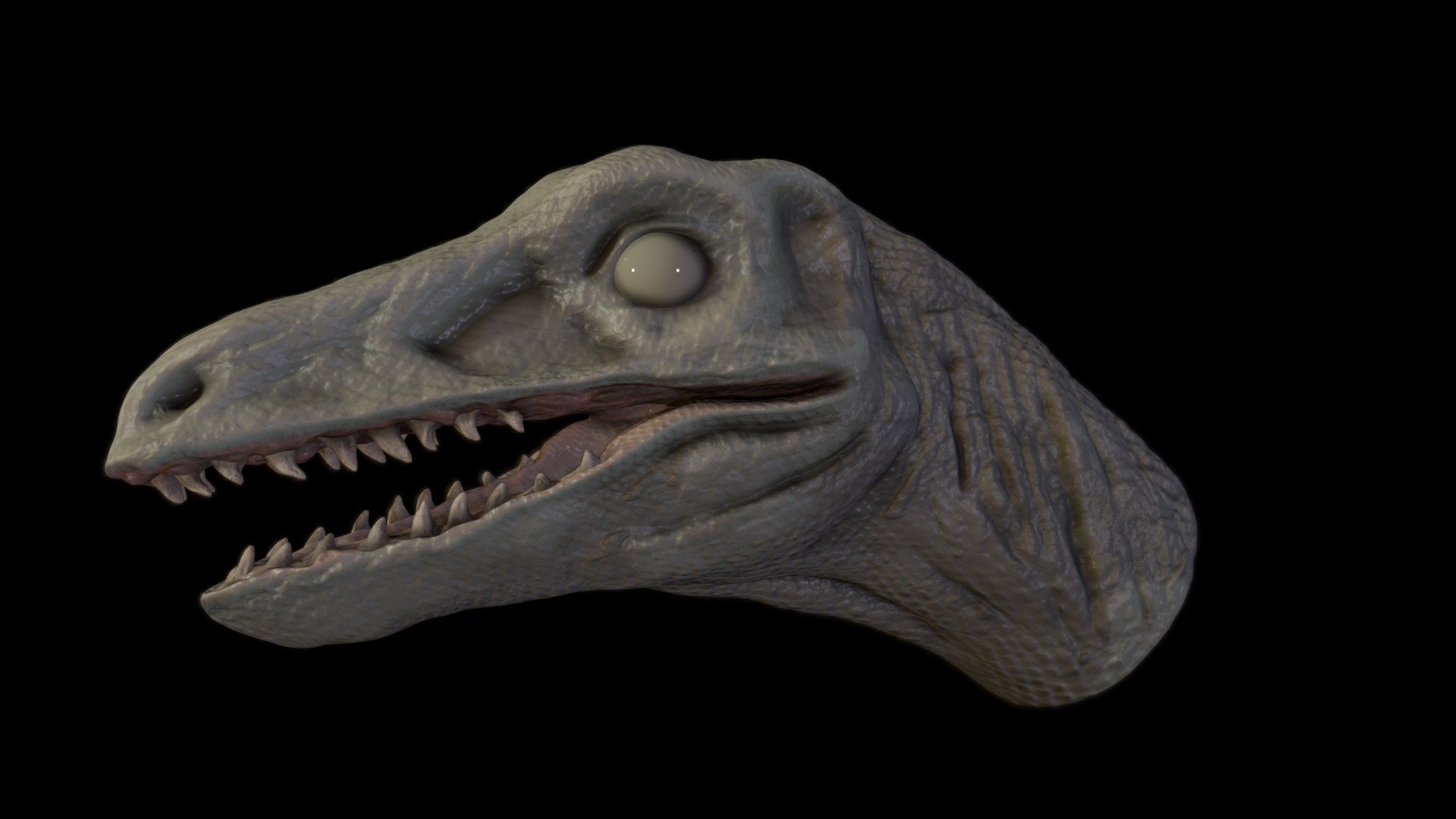 Generic Dino Head - 3D model by Percy (@PercyLad) [55b2304] - Sketchfab