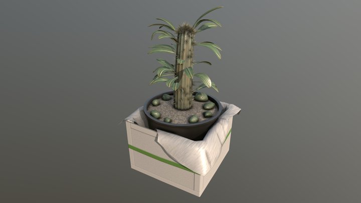 Frond 3D models - Sketchfab