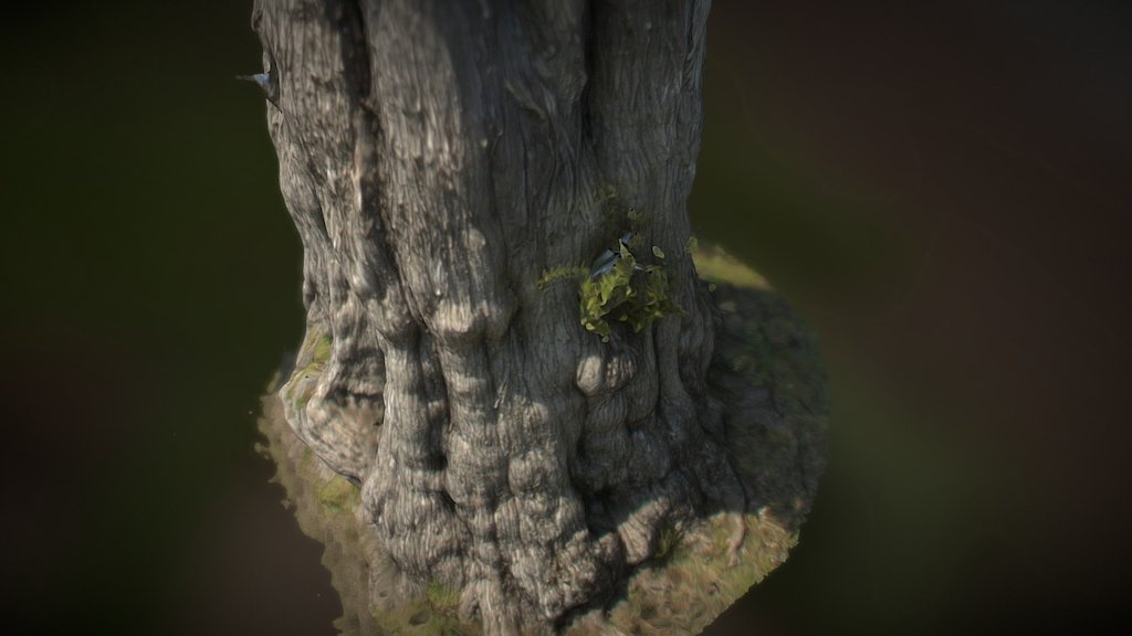 Large Tree - 3D model by Pete Hanshaw (@phanshaw) [55ca133] - Sketchfab
