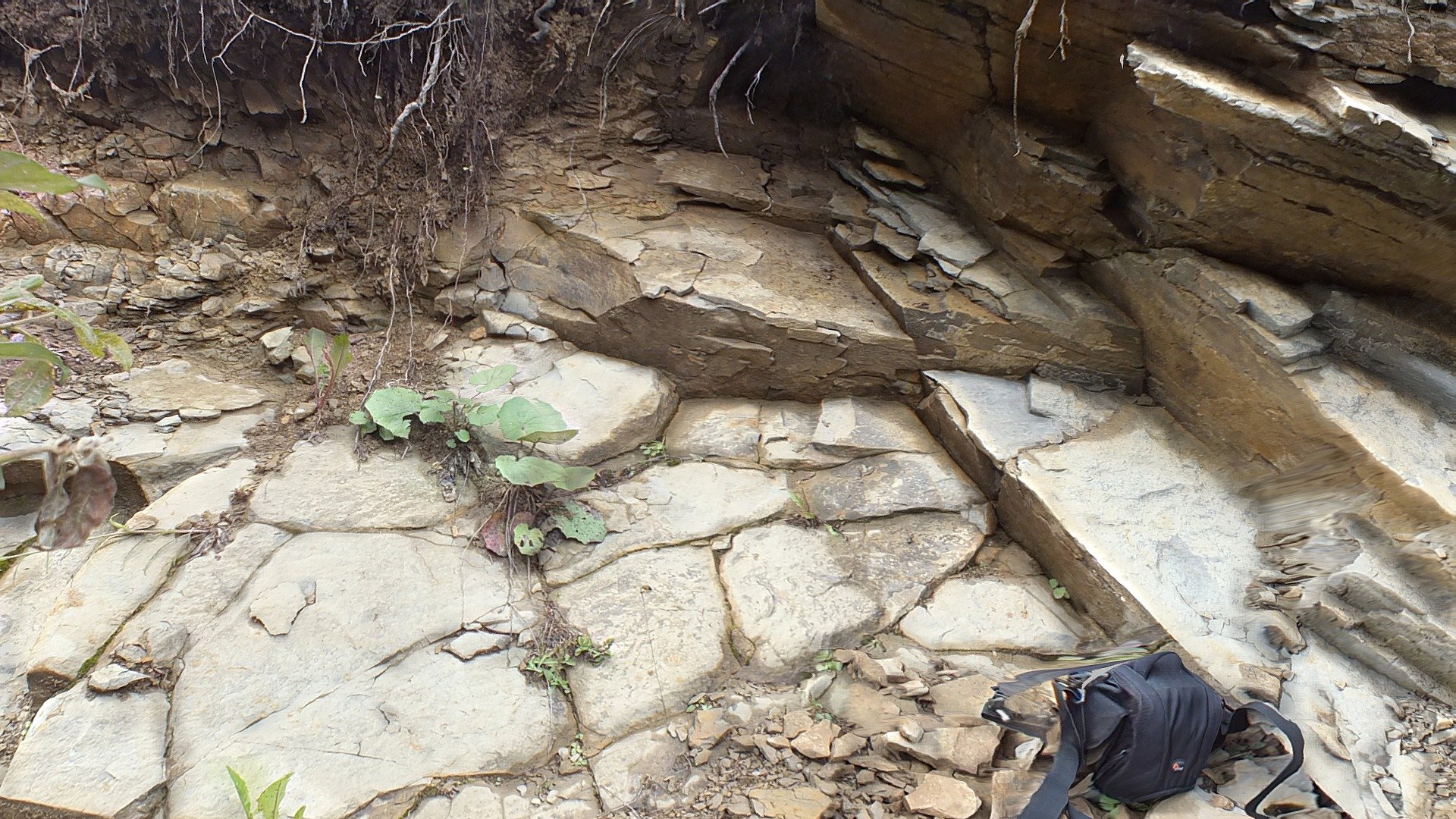 Sandstone Strata - 3D model by turnit3D [55cb38f] - Sketchfab