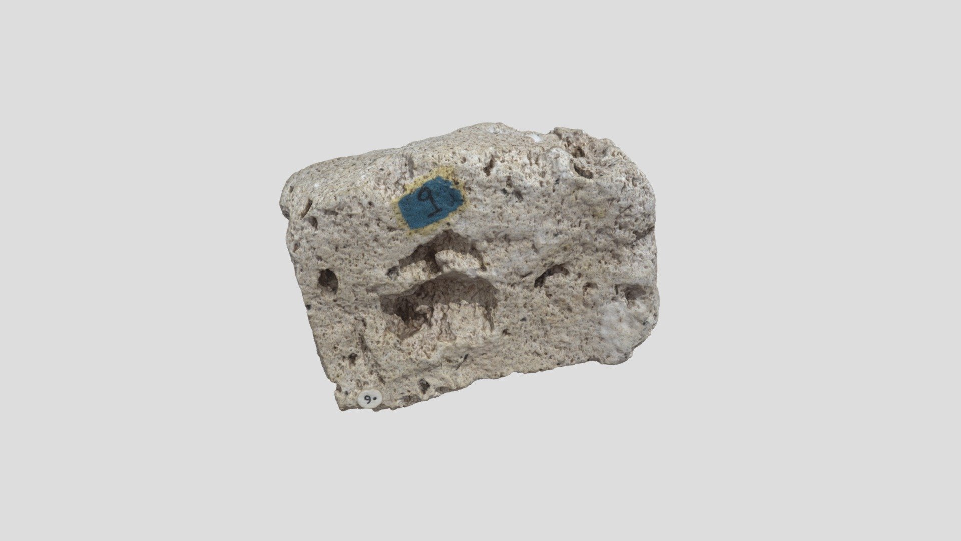 Specimen 006 - Download Free 3D model by jason.loxton [55d07d6] - Sketchfab