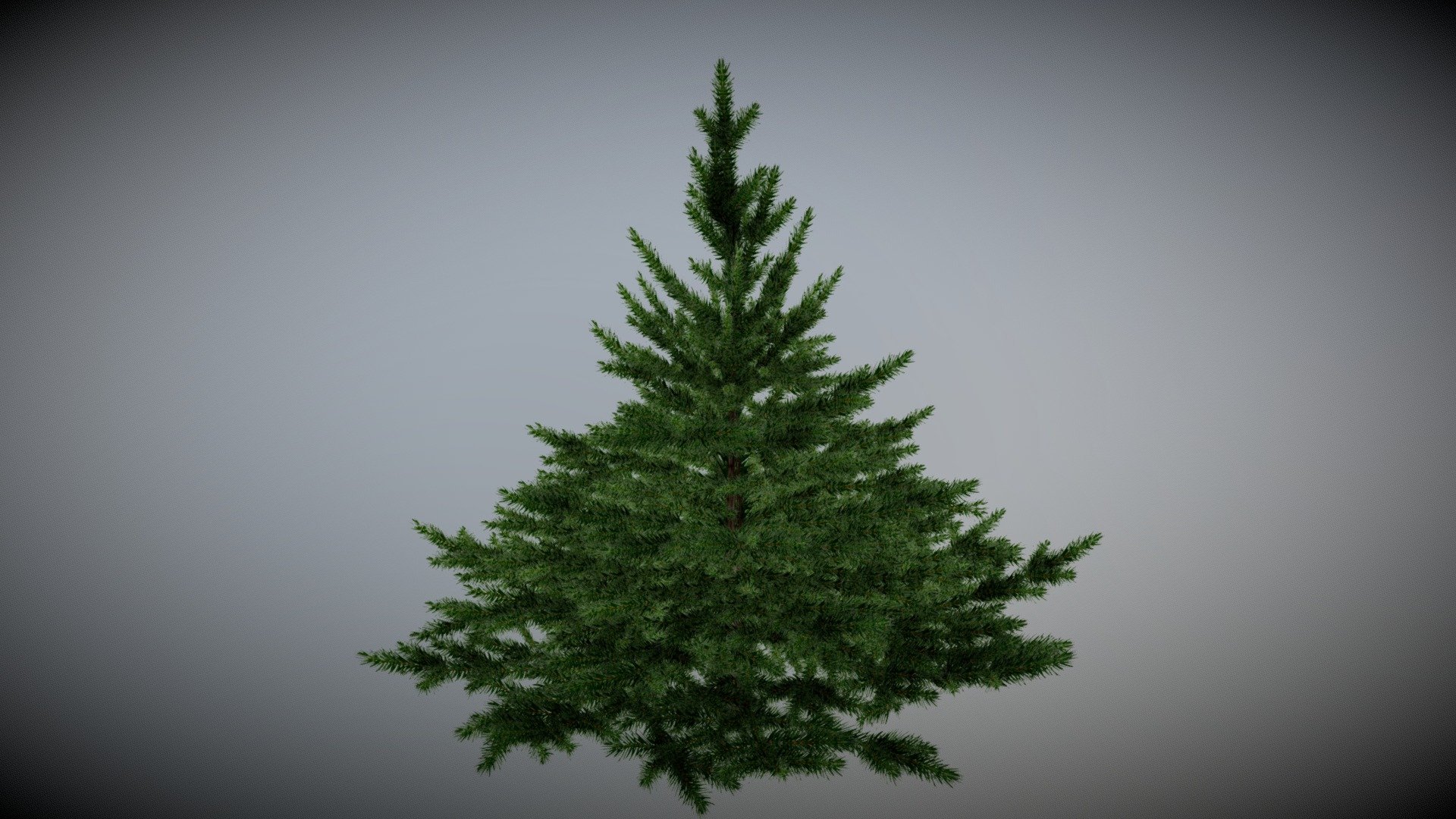 Realistic Christmas Tree -undecorated - Buy Royalty Free 3D model by ...