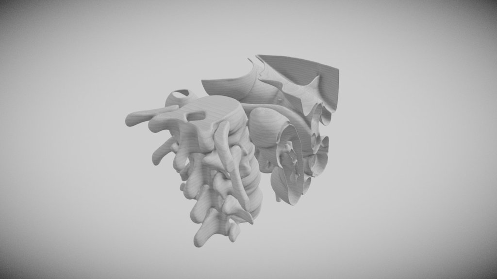 Spine - 3D model by Wellness Computational (@wellnesscomputational ...