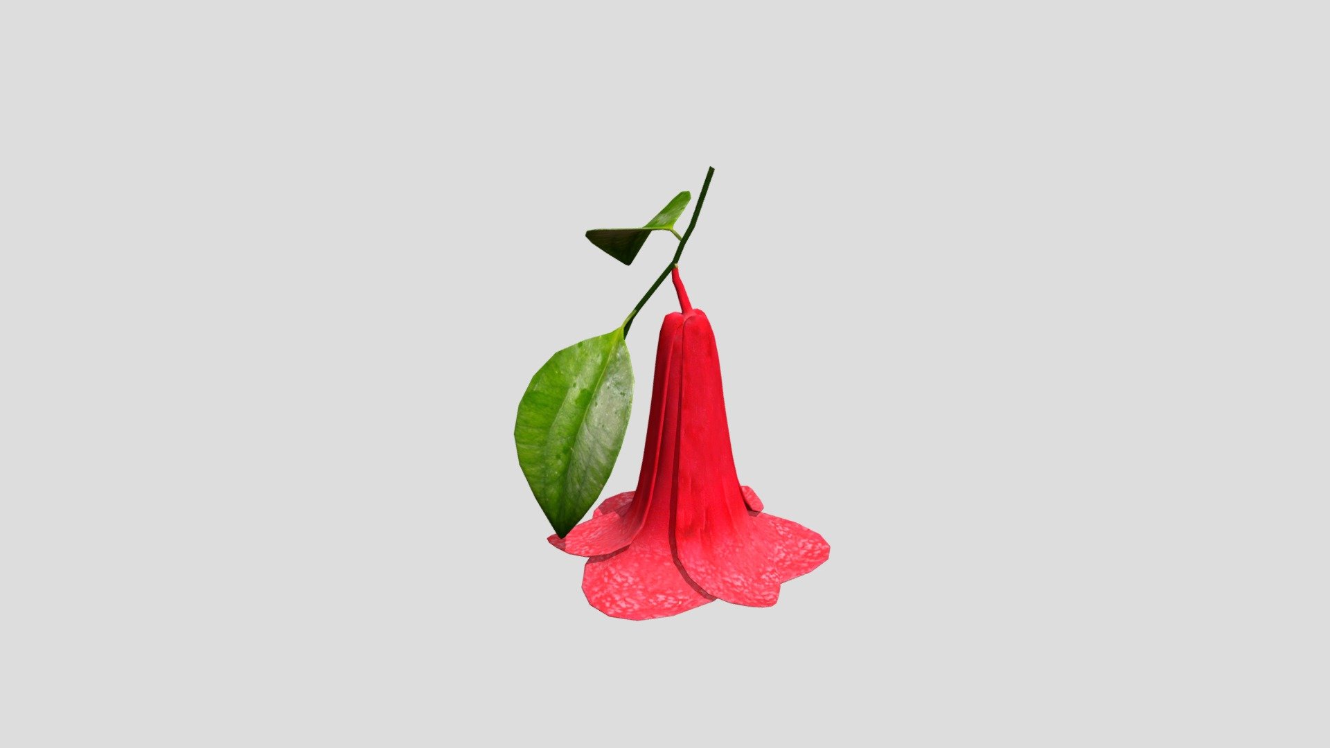 Copihue - Lapageria rosea - Download Free 3D model by borisquezadaa ...