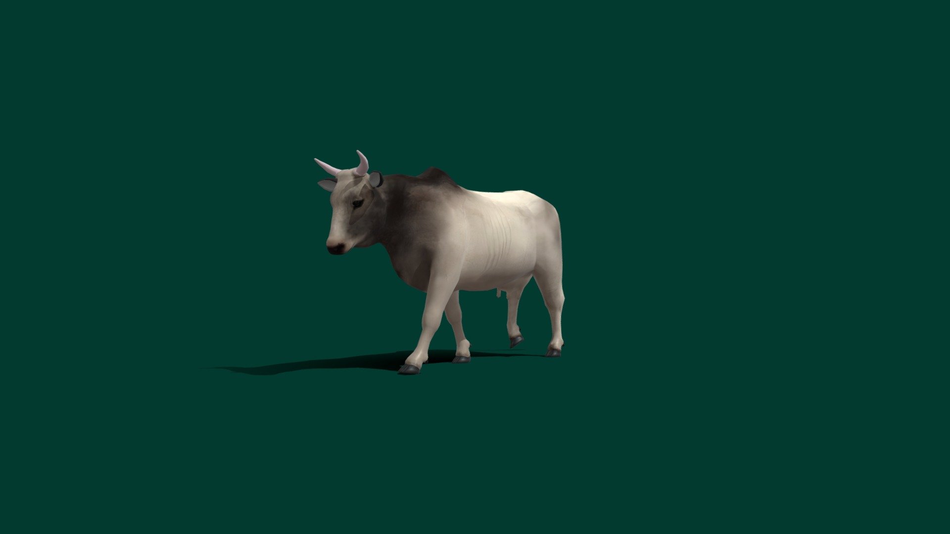 Bos taurus indicus - 3D model by Nyilonelycompany [55e57cc] - Sketchfab