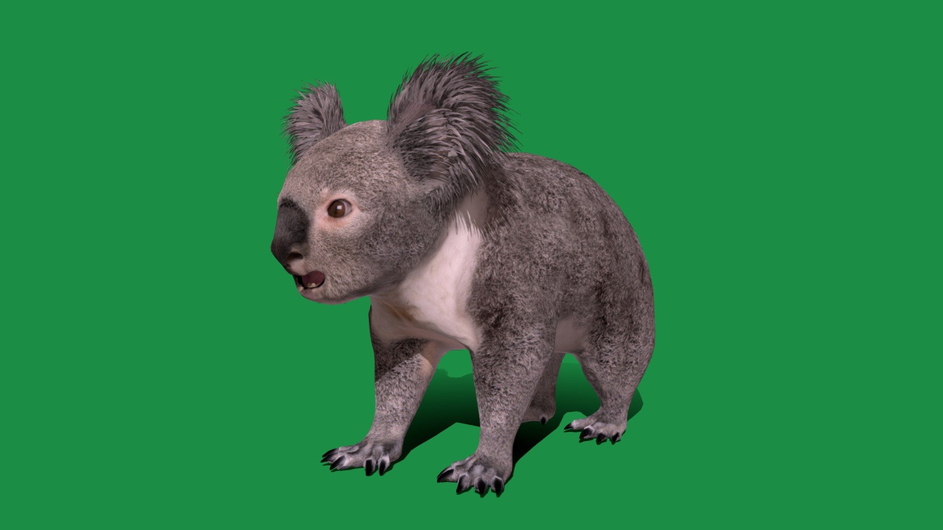 Koala Bear Mammal (Endangered) - Buy Royalty Free 3D model by ...