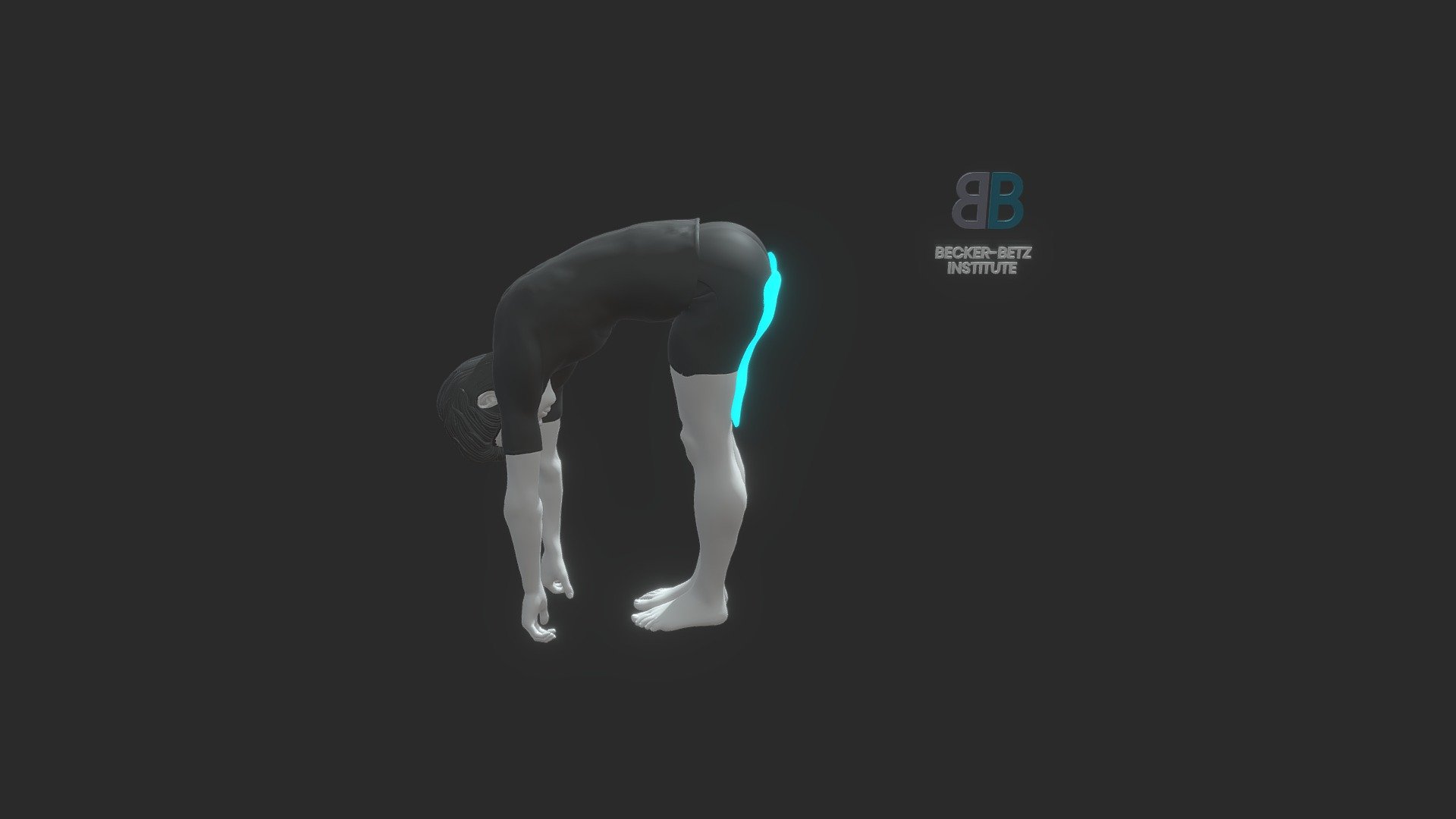 Hamstrings_7_MAN - 3D model by BeckerBetz [55eaa2b] - Sketchfab