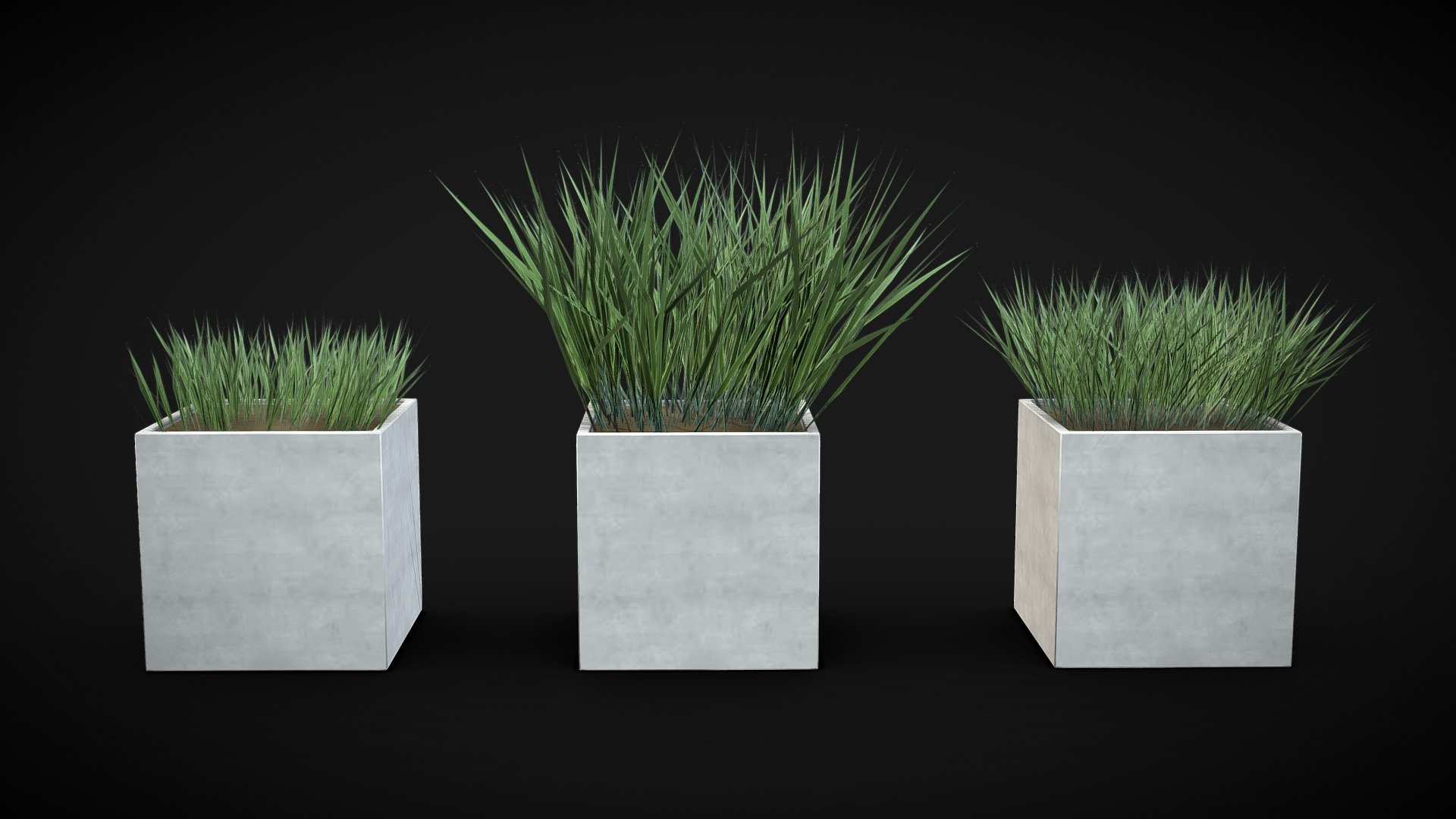 Grass Box Pack A1 (554 Polygons) - Buy Royalty Free 3D model by KJ ...