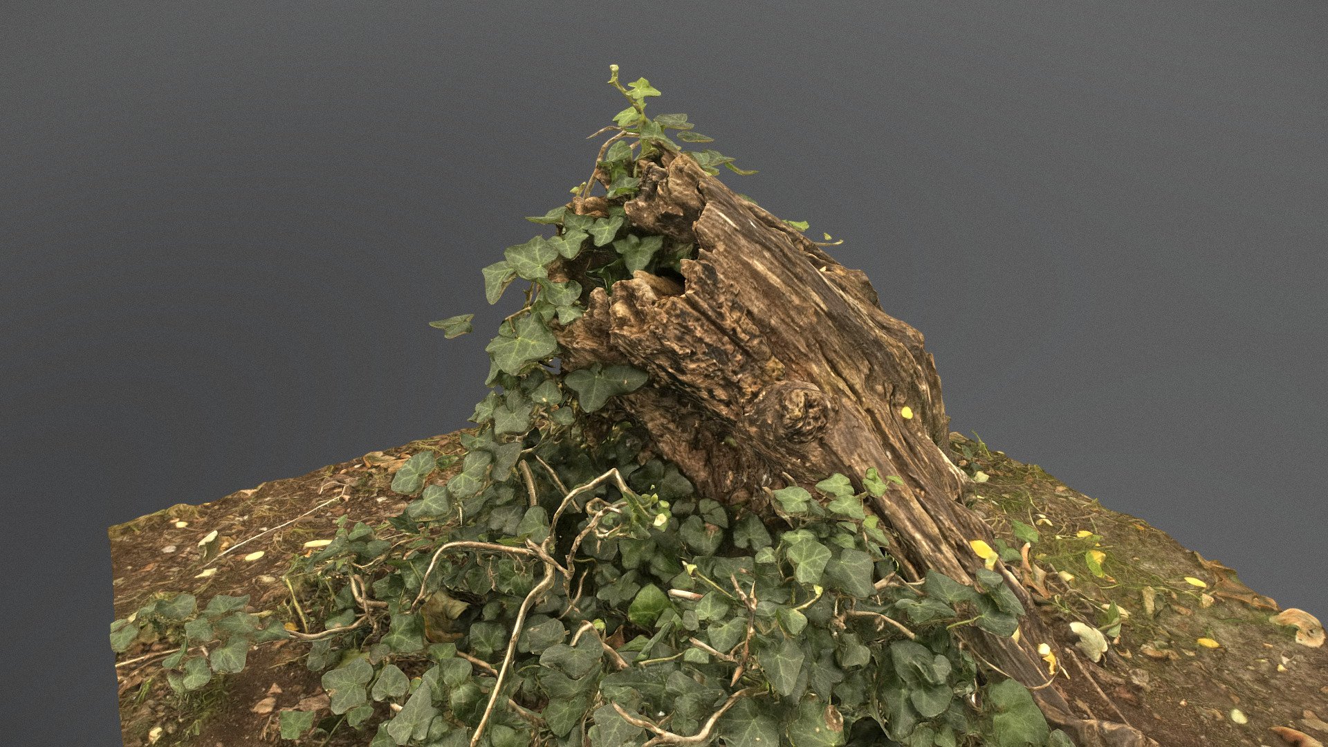 Tree stump scene - Download Free 3D model by axonite [5607639] - Sketchfab