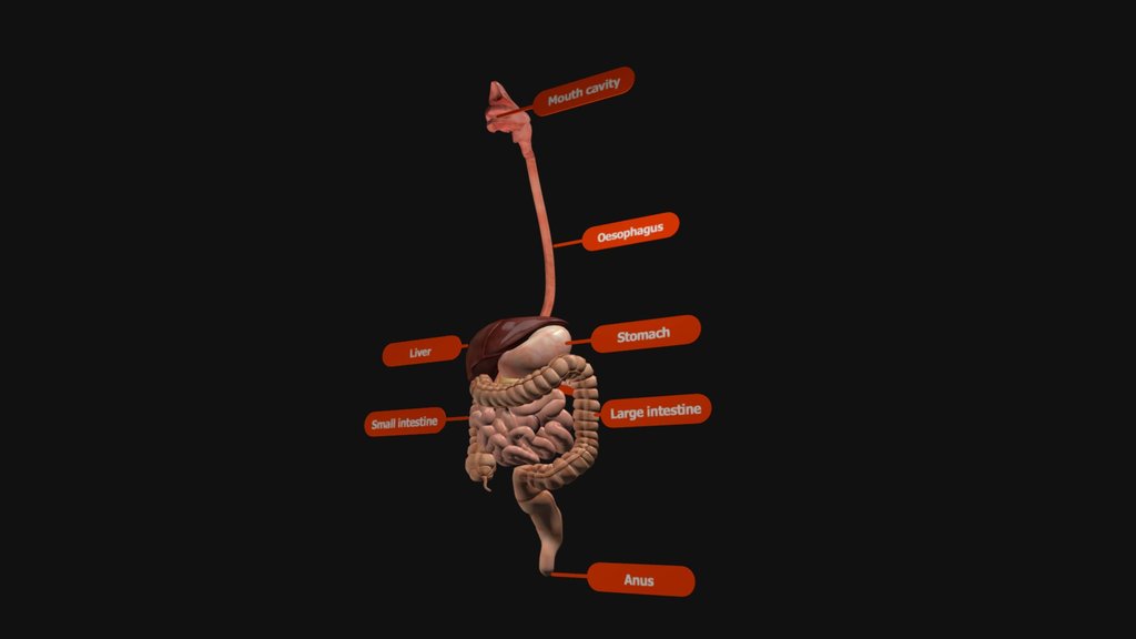 ap - A 3D model collection by Holnas6686 - Sketchfab