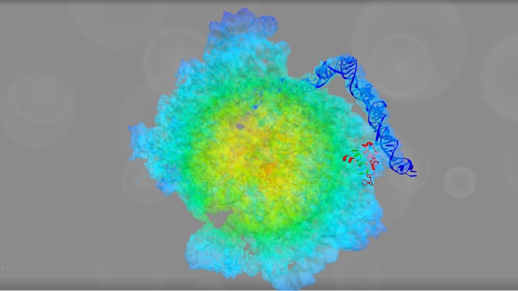 Signal recognition particle - NAT STR. MOL BIOL - 3D model by ...